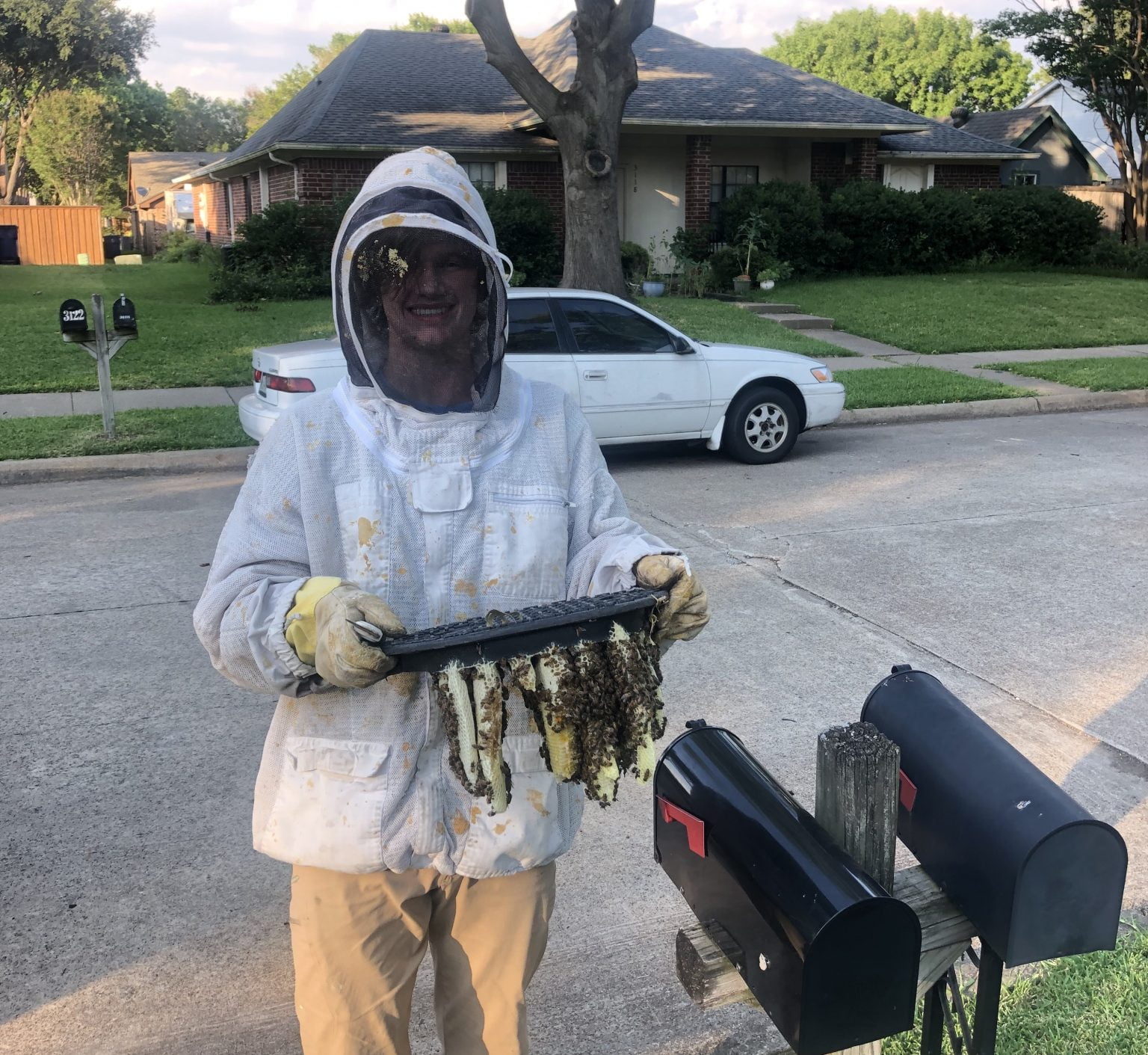 Meet the Owner: Esther Davis - Little Giant Beekeepers